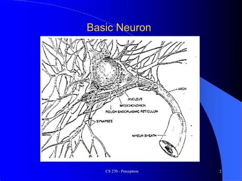 Perceptron Noural Network Algorithme Pptx