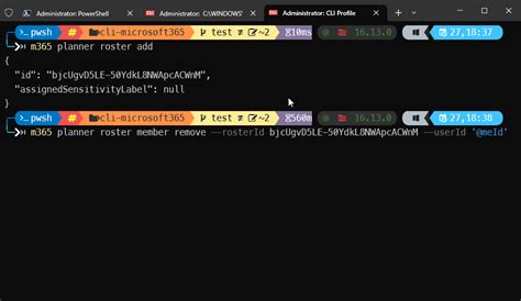 Bug Report Spinner Showing Twice On Remove Commands Issue Pnp Cli Microsoft GitHub