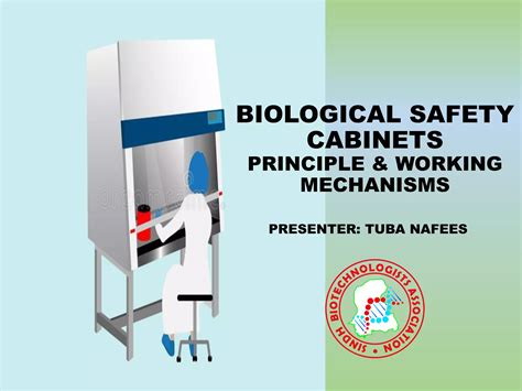 Biological Safety Cabinets Principles Pdf
