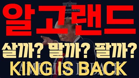 알고랜드 코인 살까 말까 팔까 고민되시나요 이제 걱정할 필요x 그가 돌아왔다 알고랜드코인목표가 알고랜드코인전망 알고랜드