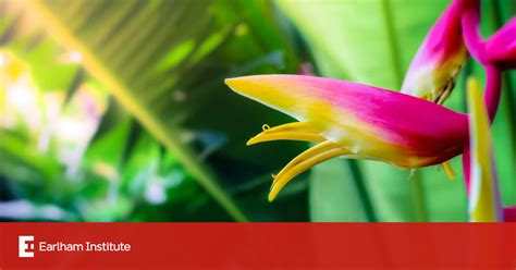 Decoding Living Systems From Cell To Ecosystem Earlham Institute