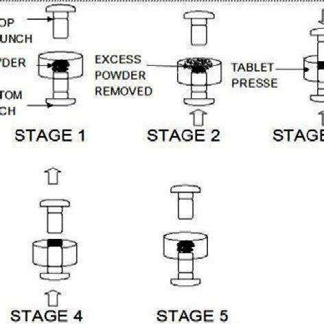 SCALE OF FLOWABILITY Download Table