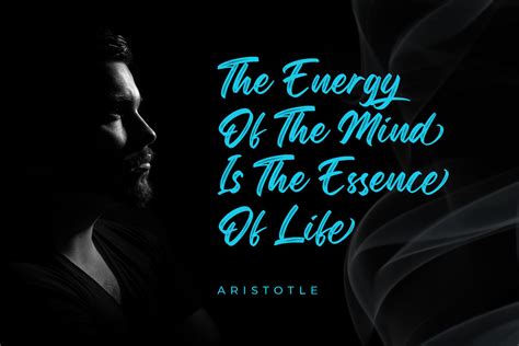 Regular Brush Brush Script Font On Behance