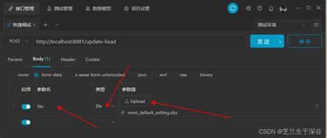 apifox测试excel文件上传 apifox multipartfile csdn博客