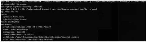 Kubernetes 1 2 新功能介绍：configmap Dockerinfo