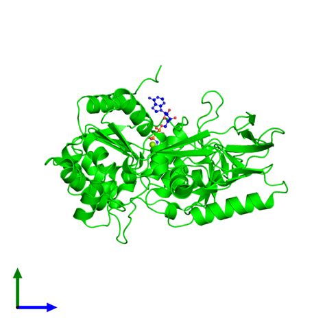 PDB Hph Gallery Protein Data Bank In Europe PDBe EMBL EBI