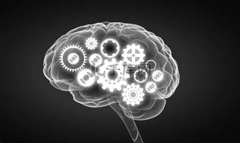 人脑内部的机制。高清摄影大图 千库网