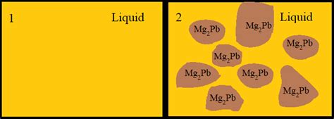 For A 76 Wt Pb 24 Wt Mg Alloy Make Schematic Sketches Of Quizlet