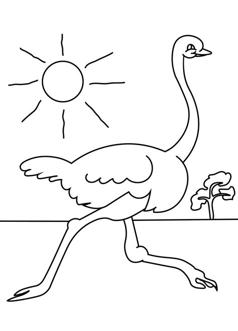 Funny Ostrich Running Coloring Page Download Print Or Color Online