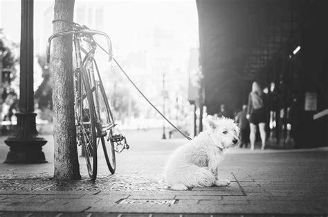 Understanding Async Await In Javascript By Gokul N K Better Programming