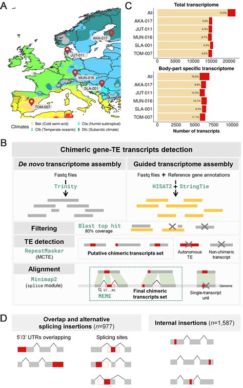 New Lab Preprint On Gene Te Chimeric Transcripts González Lab Bcn