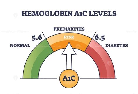 Hemoglobin A1c Test For Prediabetes And Diabetes Checkup Outline Diagram Vectormine