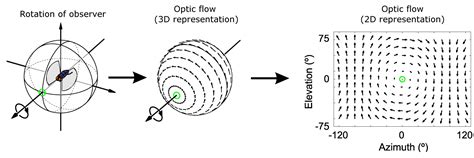 Optical Flow Everything You Need To Know In 2025 Viso Ai