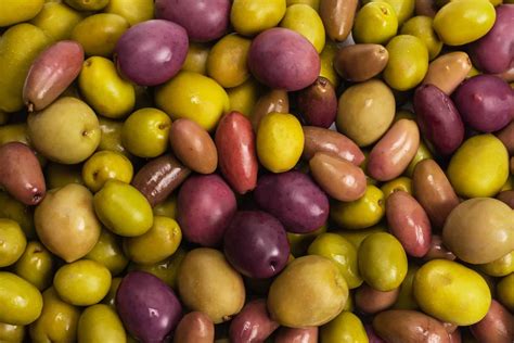 Diy Dehydrated Olives A Beginners Guide