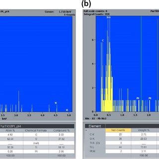 SEM Image Of TiO2 Nanotubes Decorated With Pt Nanoparticles 200 S Download Scientific Diagram