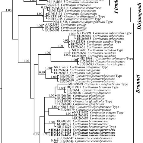 Bayesian Phylogram Inferred From Its Sequence Data The Tree Is Rooted