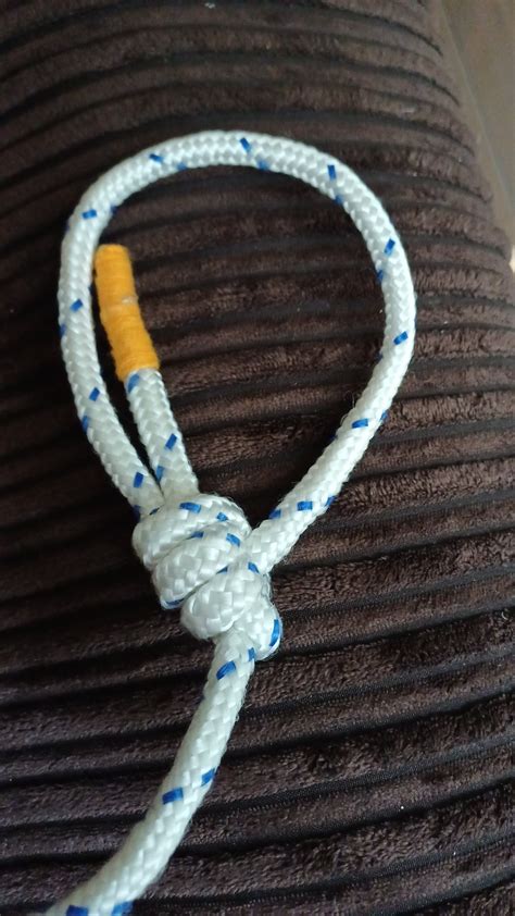 Cattail Harvesting Rbushcraft