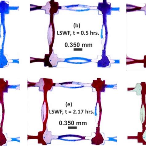 Pdf Impact Of Oil Polarity On The Mixing Time At The Pore Scale In Low Salinity Waterflooding