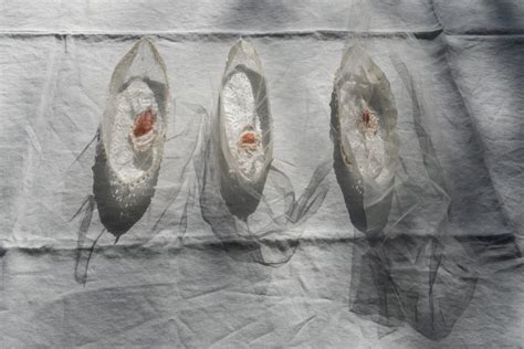 Sexvotos Fiber Art Fever