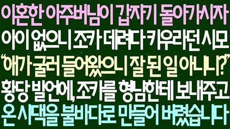 이혼한 형부가 갑자기 세상을 떠나자 아이가 없으니 조카를 맡아 키우라는 시어머니의 황당한 말에 조카를 형님에게 보내고 시댁을 불태워버렸습니다 Youtube