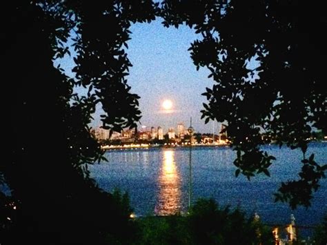 Premium Photo Reflection Of Trees In Water At Night