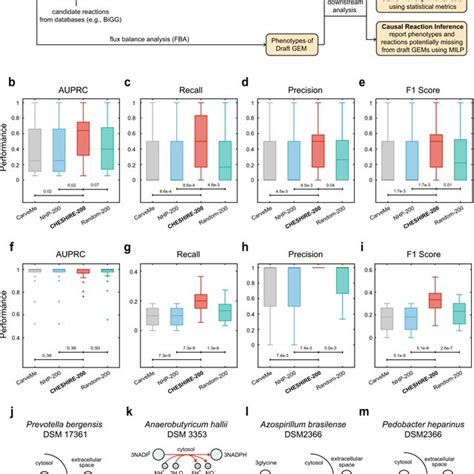 External Validation By Predicting Metabolic Phenotypes A Flowchart Of