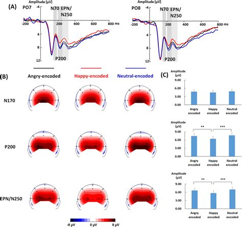 a grand average waveforms and b topography maps for learned faces in