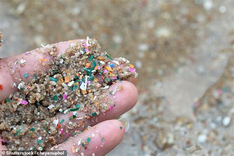 Potentially Toxic Microplastics Are Found In 100 Percent Of Human