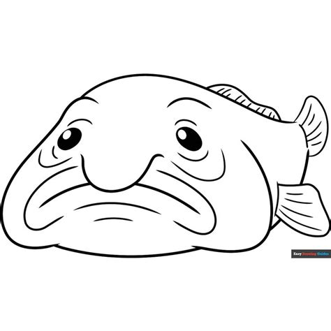 Blob Fish Coloring Pages 2025 Blob Fish Coloring Pages 2025