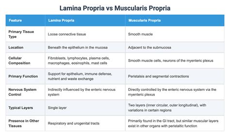 Lamina Propria Vs Muscularis Propria