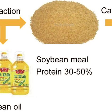 The Synthesis Of Nitrogen Doped Porous Carbon From Soybean Meal