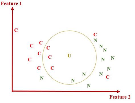 solved knn algorithm is applied on a dataset to predict