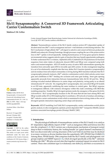 Pdf Slc11 Synapomorphy A Conserved 3d Framework Articulating Carrier