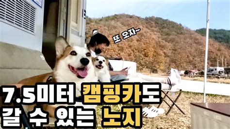 75 미터 기함급 캠핑카도 갈 수 있는 노지여기 너무 좋아서 또 가야겠네요서울 근교 차박지모터홈코리아p746gjc