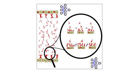 Acid Base Chemistry Of A Model Iro2 Catalytic Interface The Journal Of Physical Chemistry Letters