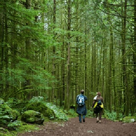 Golden Ears Go Camping Bc