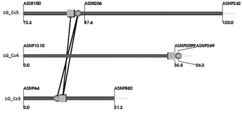 Graphic Representation Of Qtls Showing Interaction Effects For The