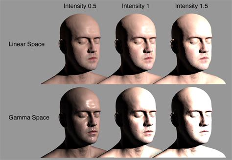 Gamma Polycount