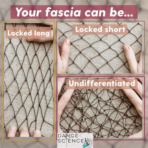 220 Massage Ideas To Save Today Spa Room Decor Massage Room Decor