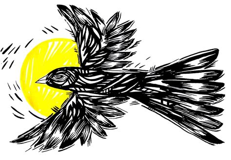 Caburé Voo Do Assum Ziv Gallery