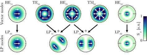 3 Analytically Calculated Z Component Of The Poynting Vector For Download Scientific Diagram