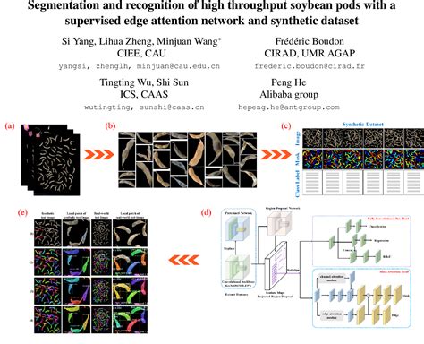 Figure 1 From Segmentation And Recognition Of High Throughput Soybean Pods With A Supervised