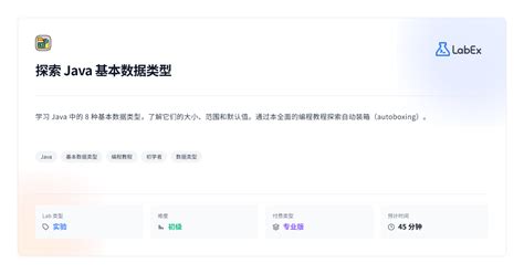 java 基本数据类型 初学者编程教程 labex