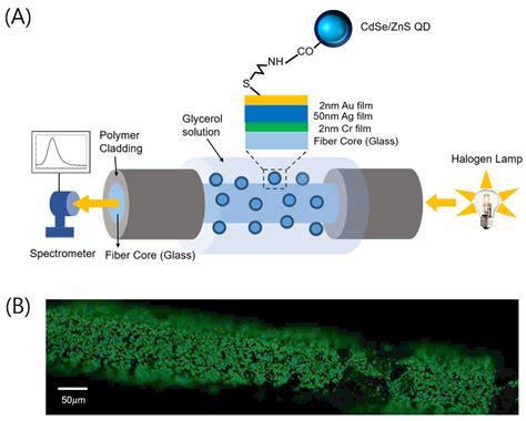 Spectrometer Quantum Dot At Silas Naylor Blog