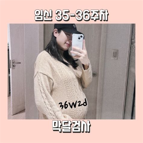 임신 35~36주차 배크기 출산준비 막달검사 비용 태아 몸무게 네이버 블로그
