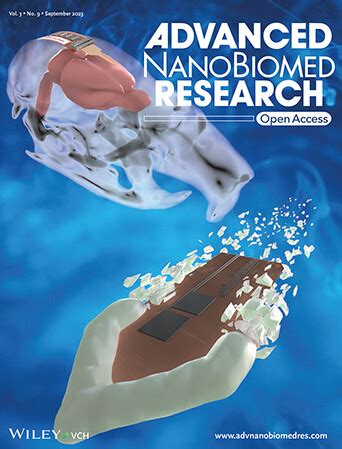 Bioresorbable Insertion Aids For Brain Implantable Flexible Probes A Comparative Study On Silk