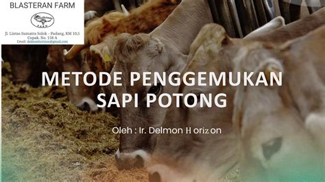Materipenggemukansapi 1 Pptx Materipenggemukansapi 1 Pptx