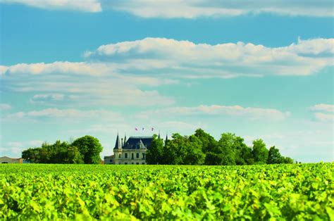 Best Bordeaux Wine Tours Vineyard Visits And Tastings 2024