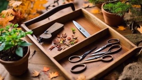 Bonsai Pruning Tools Exploring Different Types And Uses Bonsai Tree Gardener