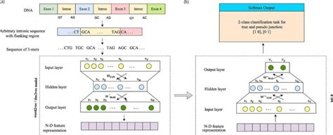 splicevec distributed feature representations for splice junction